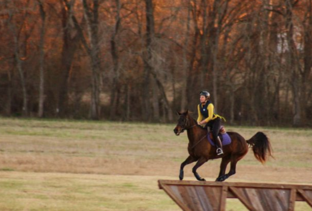 A New Chapter | Eventing Nation - Three-Day Eventing News, Results ...