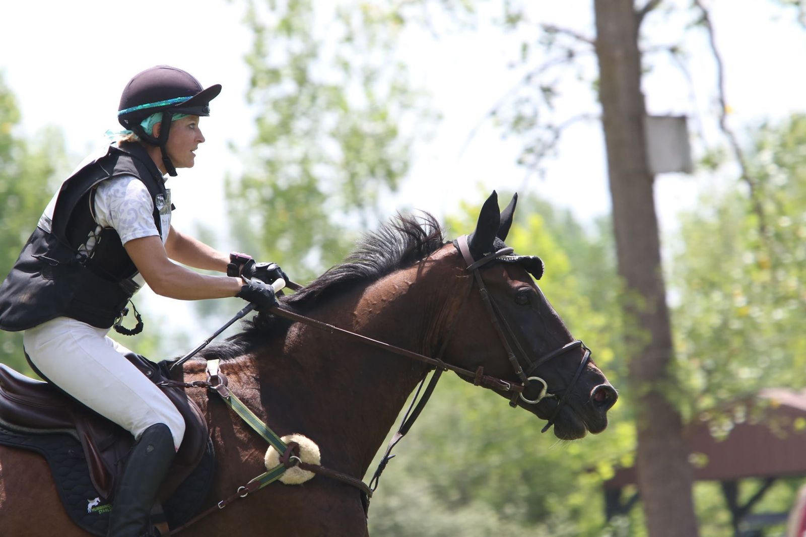 Friday Fashion Forecast: Devoucoux Cross Country Rubber Reins ...