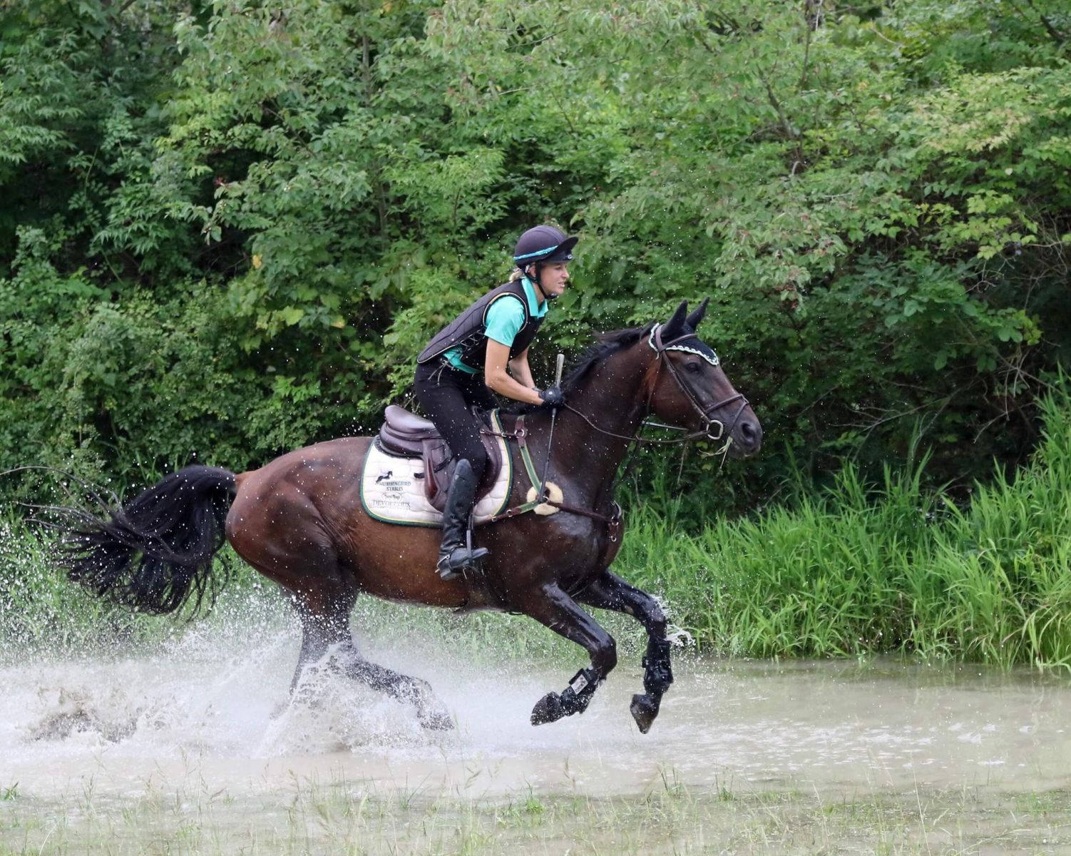Friday Fashion Forecast: Devoucoux Cross Country Rubber Reins ...