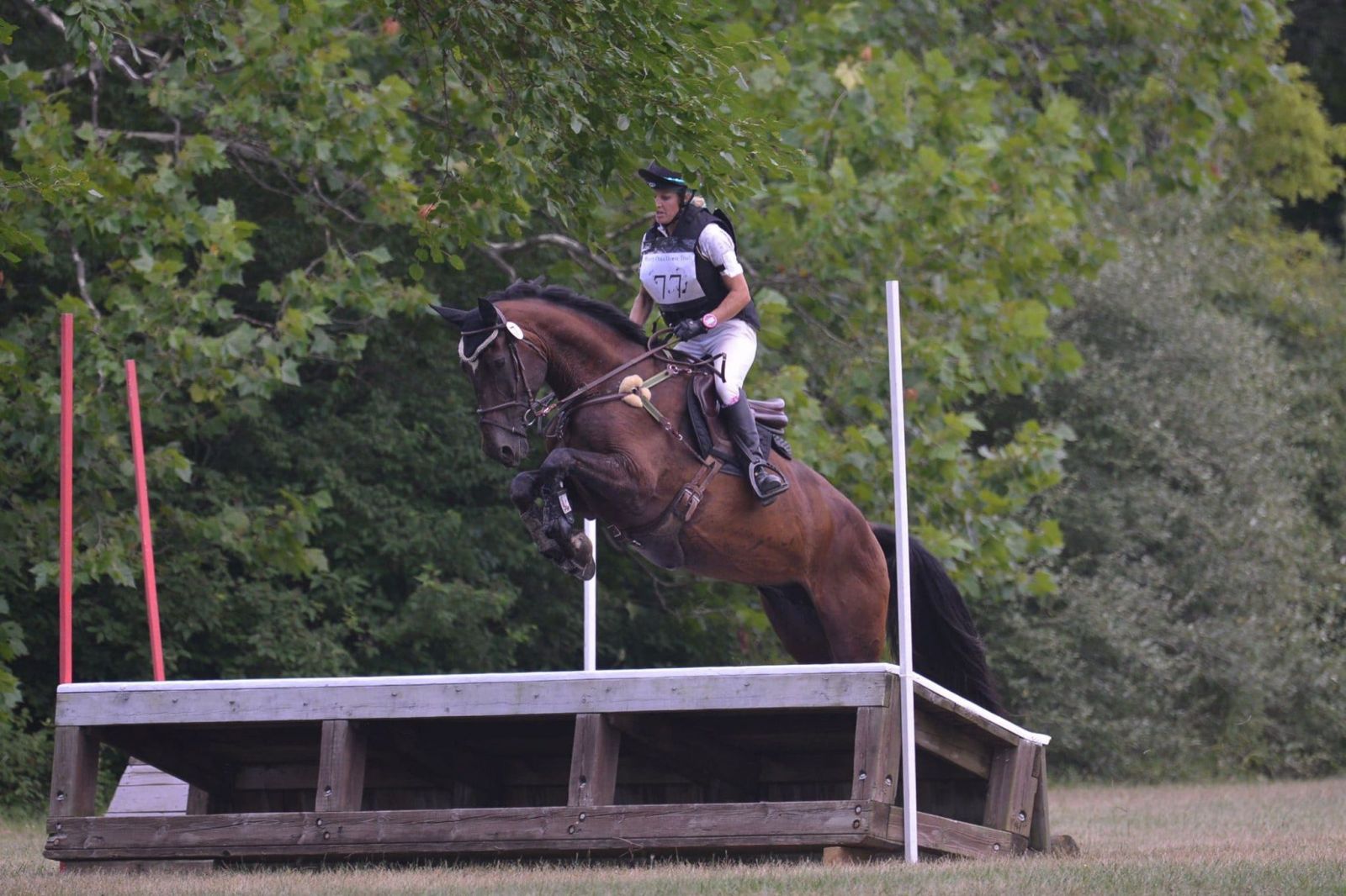 Friday Fashion Forecast: Devoucoux Cross Country Rubber Reins ...