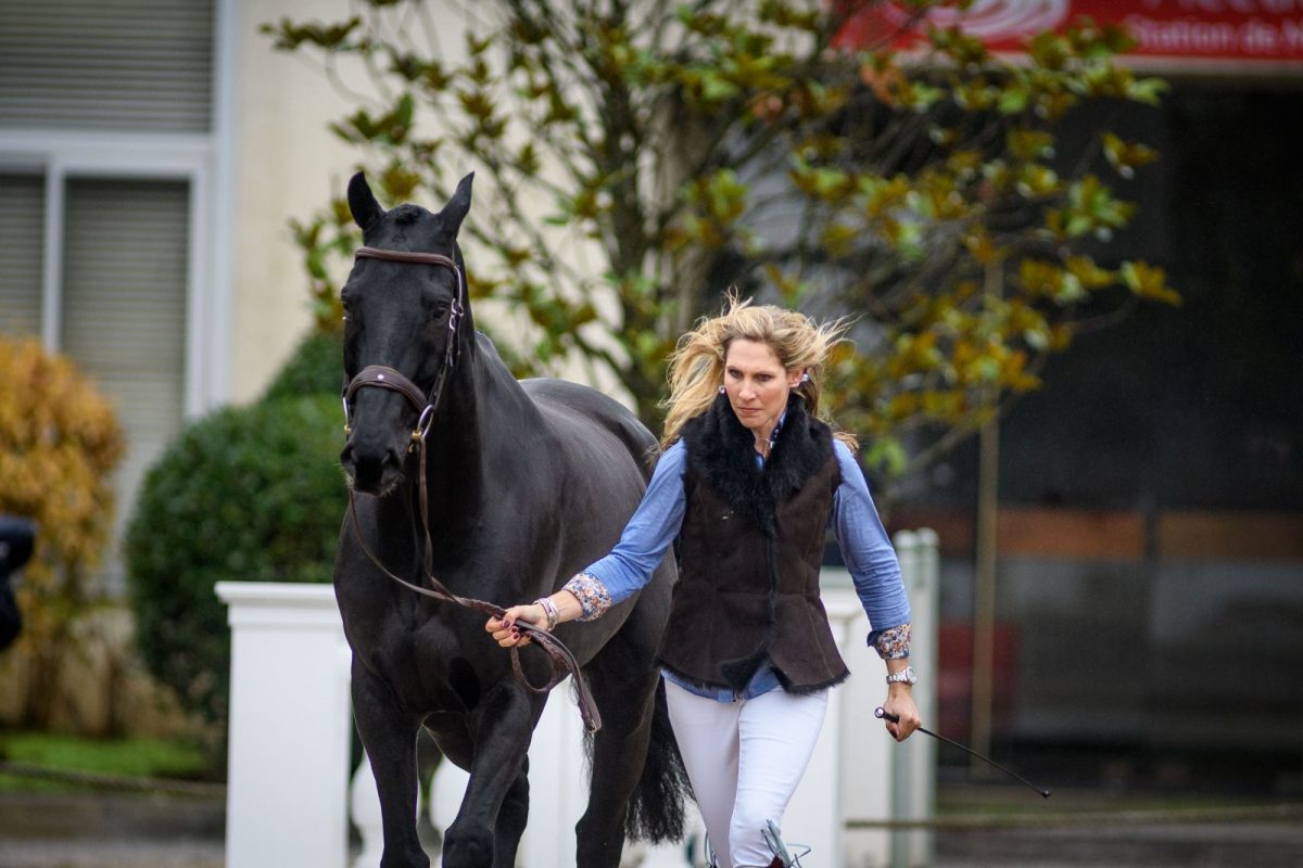 7YO-Liz-Halliday-Sharp-and-Cooley-Moonshine-3 | Eventing Nation - Three ...