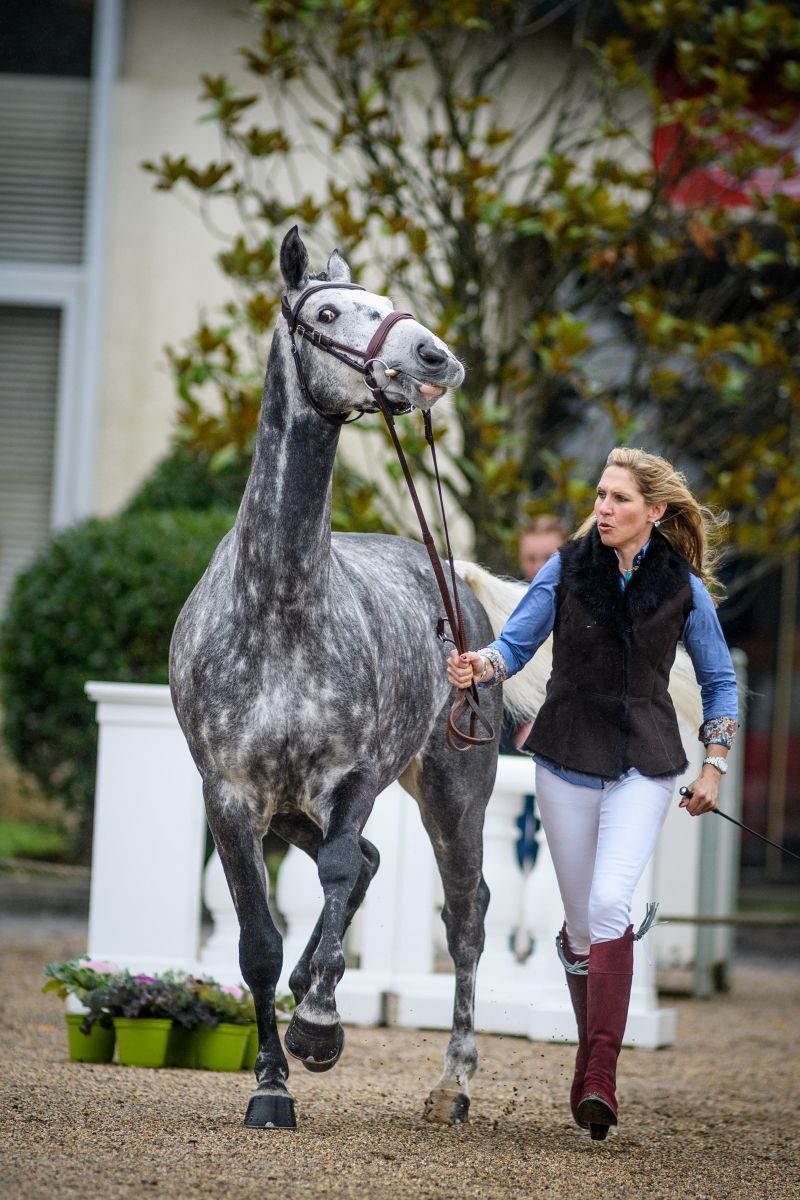 7YO-Liz-Halliday-Sharp-and-Flash-Cooley | Eventing Nation - Three-Day ...