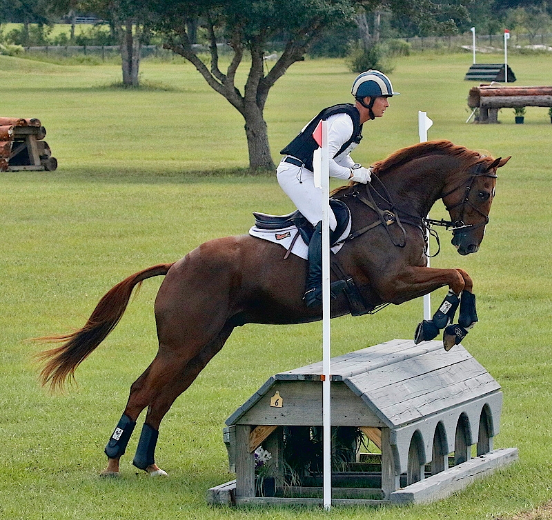Jon Holling’s OTTB Blog: Ragtime Rebel on the Road | Eventing Nation ...