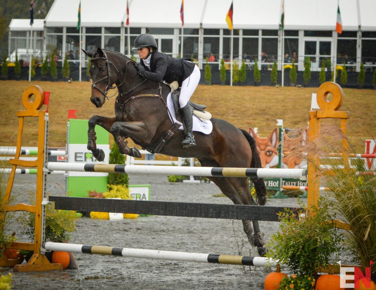 Sylvester and Paddy the Caddy Steal Four-Star Crown in Exciting Fair ...