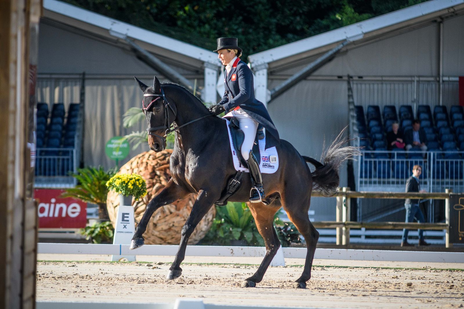 Pau, Day Two: Tom McEwen and Toledo de Kerser Dance to Dressage Lead ...