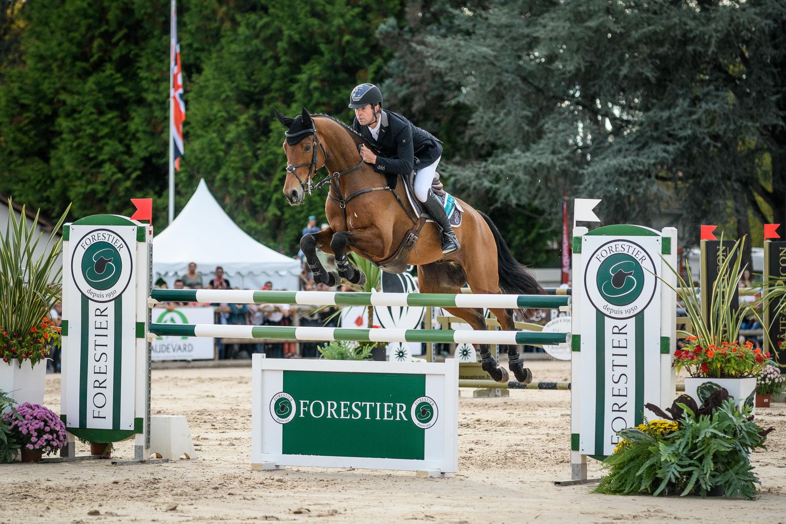 30 and Flirty and Thriving: The 2020 Pau Form Guide | Eventing Nation ...
