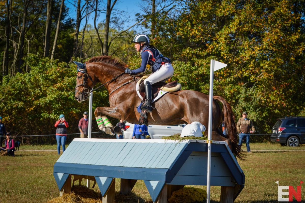 Your Guide to the 2023 $50,000 Grand-Prix Eventing Festival at Bruce’s ...
