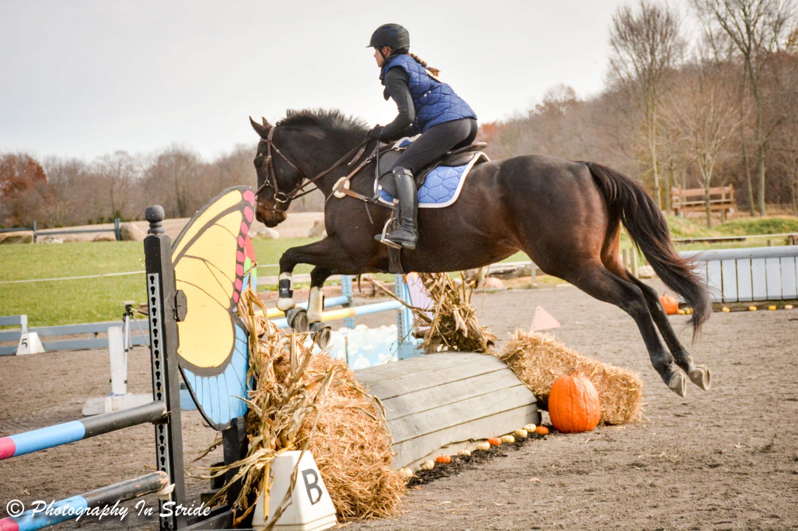 Ohio Eventing Is Thriving at Stone Gate Farm Thanks to a Smith Family ...