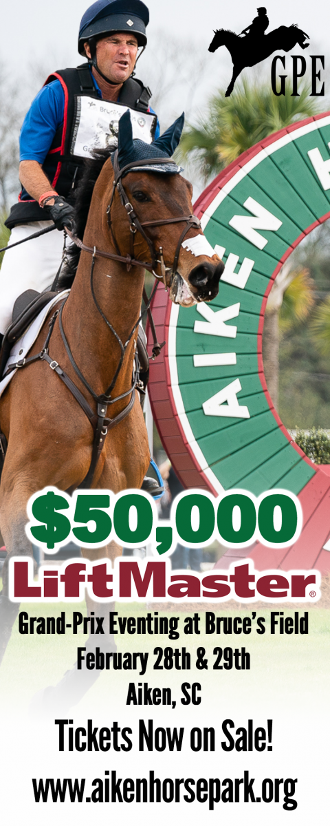 7 Ideas for Building Your Own DIY Cross Country Jumps on the Cheap ...