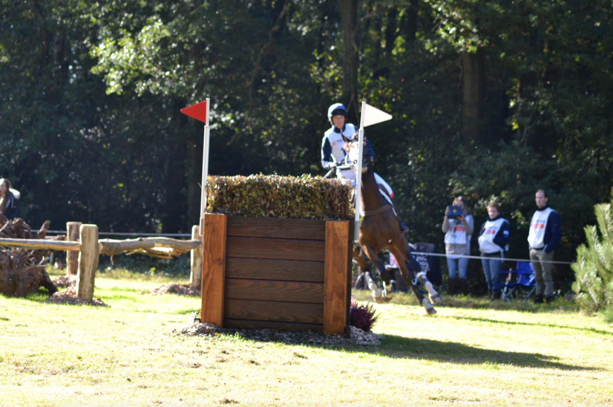 15-Penalty Flag Rule Reform: ERA of NA Seeks Stories/Video of the Rule ...