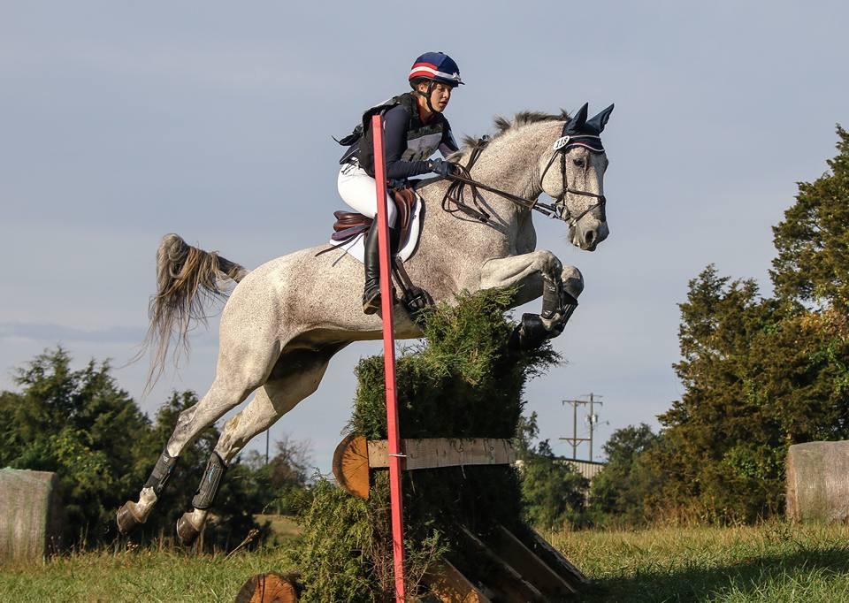 Sport Horse Nation Spotlight: 5 Shades of Grey | Eventing Nation ...