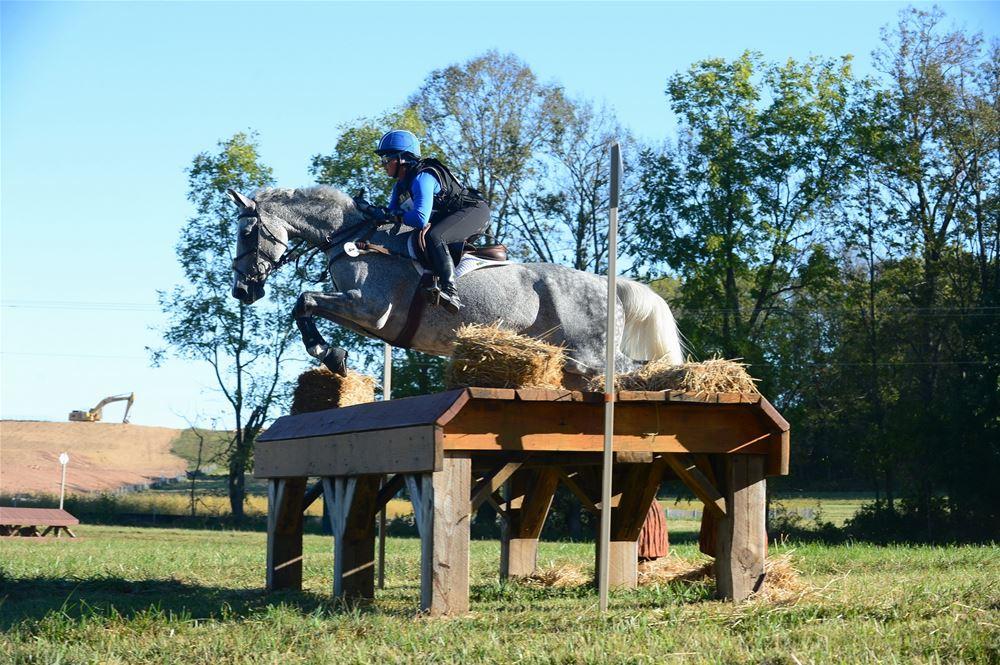 Sport Horse Nation Spotlight: 5 Shades of Grey | Eventing Nation ...