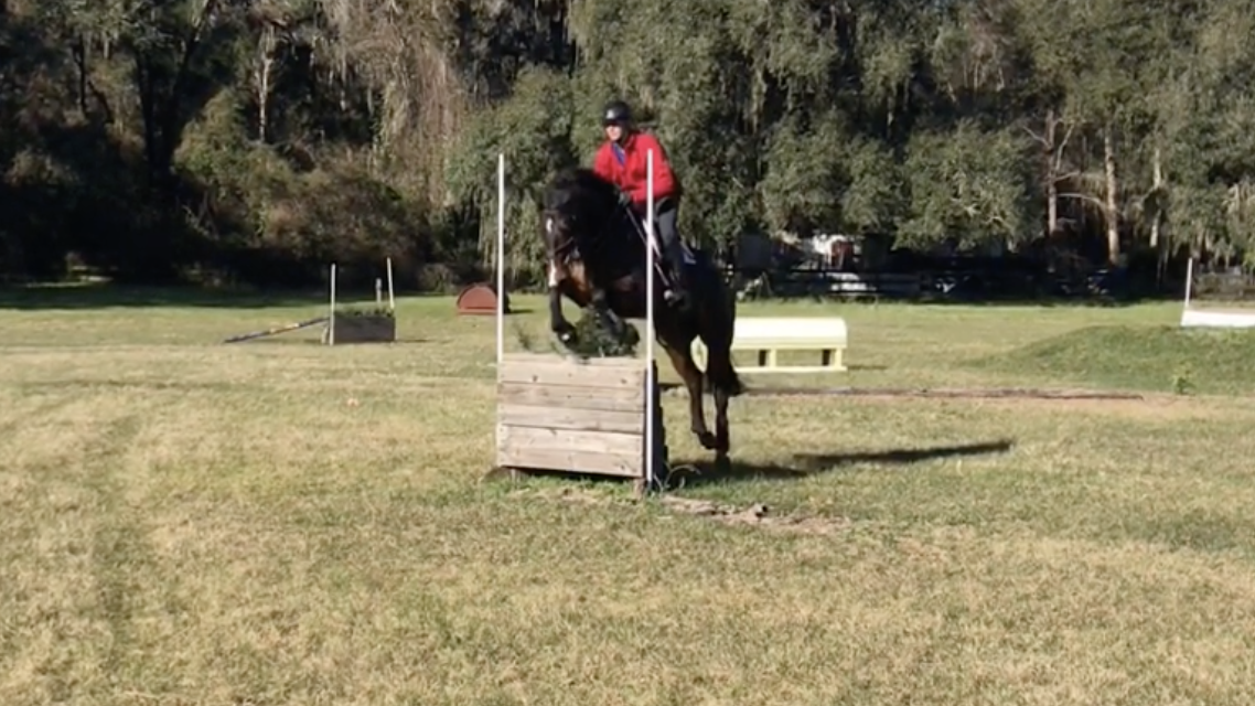 Thursday Video: Breaking Down a Cross Country School with Jon Holling ...