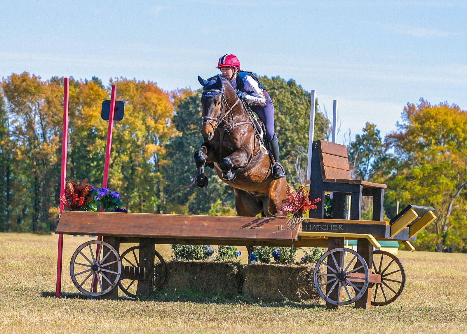 Sport Horse Nation Spotlight: Oozing Talent | Eventing Nation - Three ...