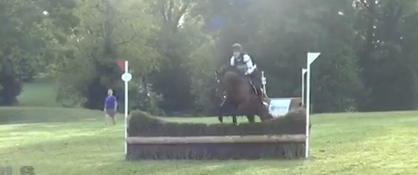 Thursday Video from FLAIR: Jon Holling Analyzes a Viewer Submission ...