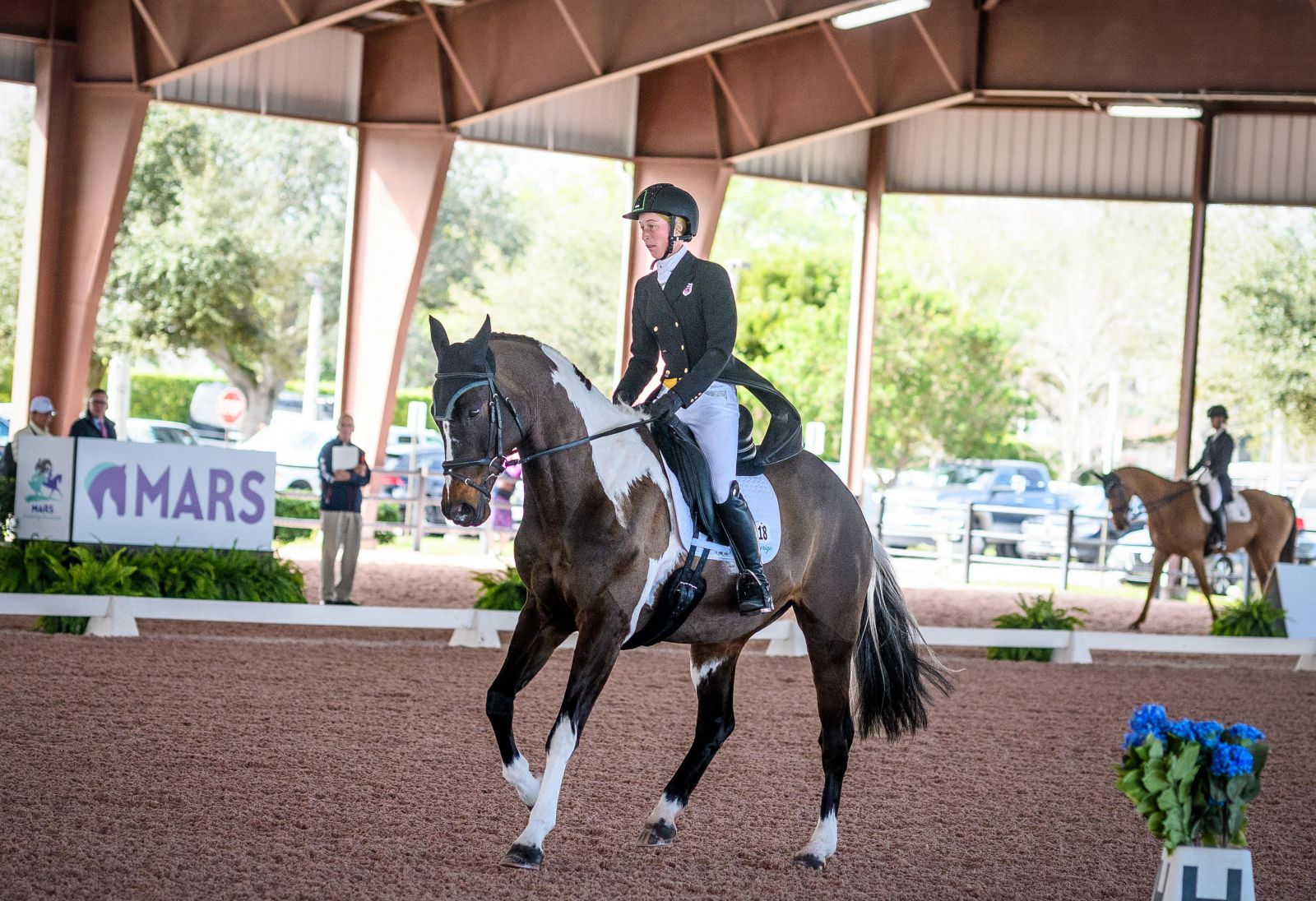 CorneliaDorr_SirPaticoMH | Eventing Nation - Three-Day Eventing News ...