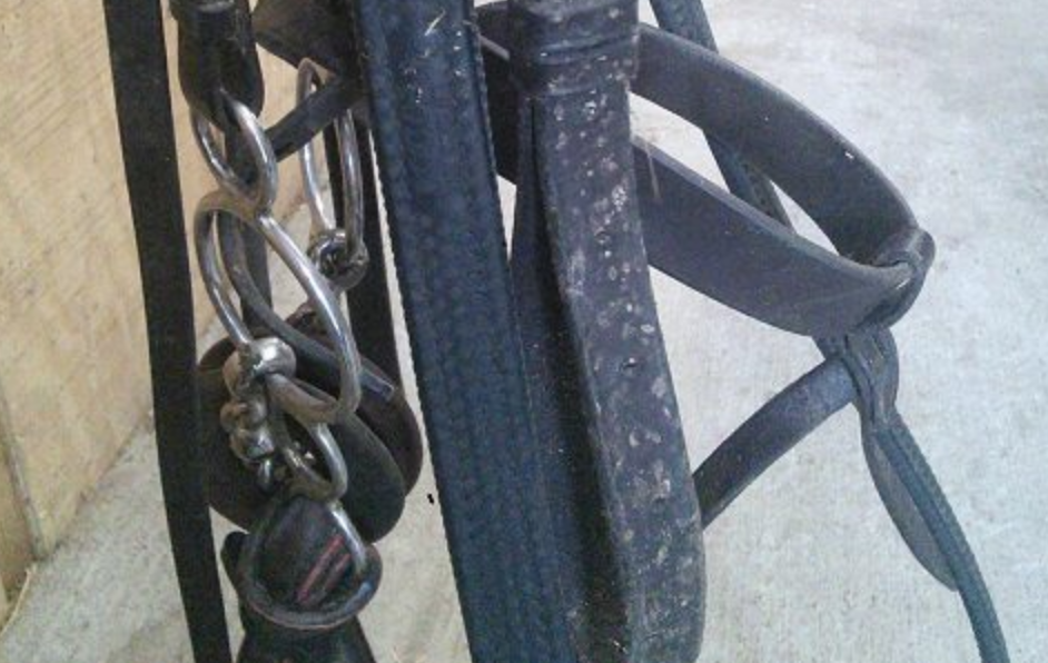 Disgusting, Dirty Tack? Easy Winter Tack Care, Brought to You by Banixx ...