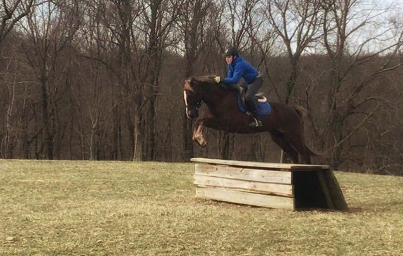 If We Build It, Will You Come? A New Home for Eventing in Western PA ...