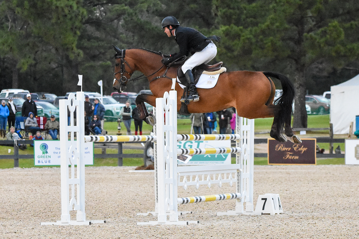 Inside the Stable with the Aiken Showcase Stars: Phillip Dutton & Z ...
