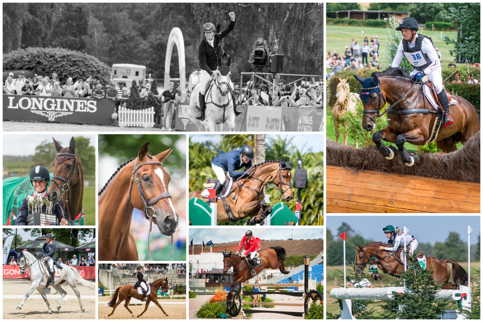 Feeling the March Sadness? Cue Event Horse March Madness: Round 1 ...