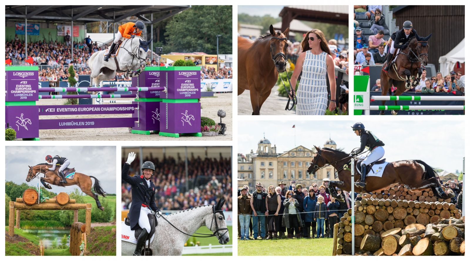 Event Horse Madness: The Sweet 16 | Eventing Nation - Three-Day ...
