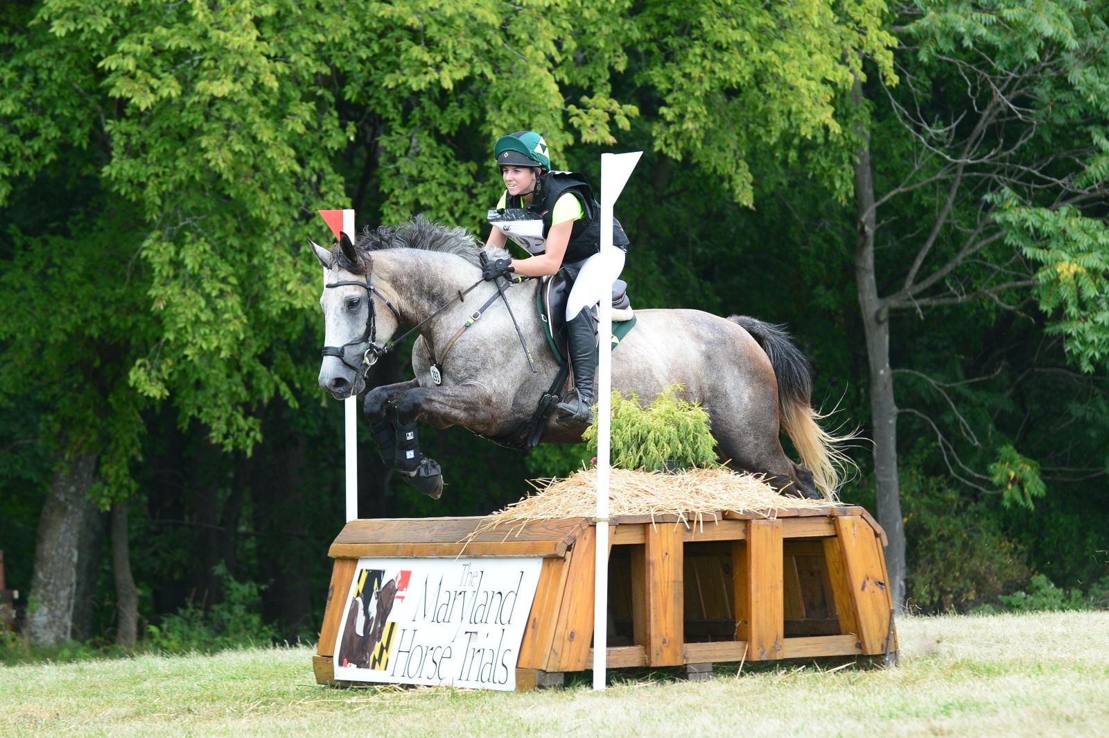 Sport Horse Nation Spotlight: 5 Kentucky Cuties | Eventing Nation ...