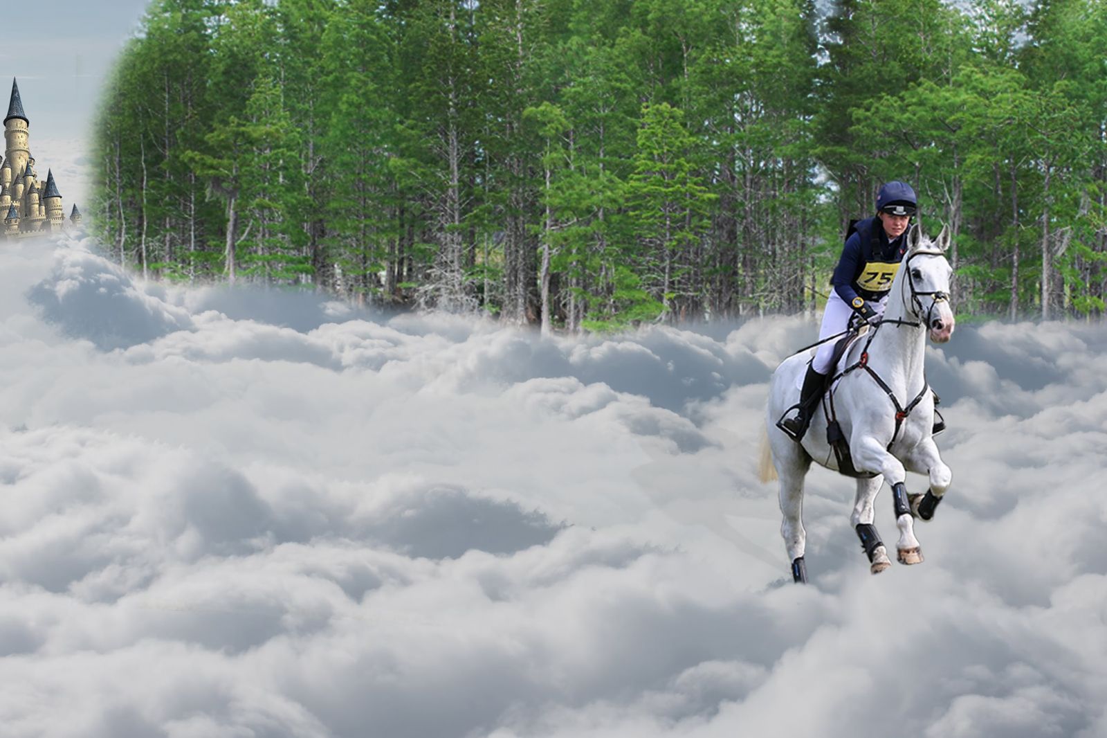 Watch the NAF Virtual 5* Eventing ‘Trot Up’ Live | Eventing Nation ...