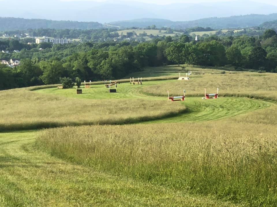 Thursday News & Notes from Taylor Harris Insurance Services (THIS ...