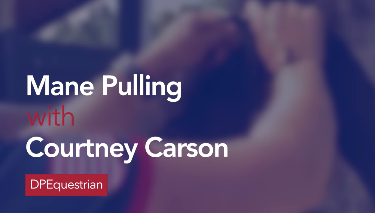 Thursday Video: Pulling Manes with Courtney Carson | Eventing Nation ...
