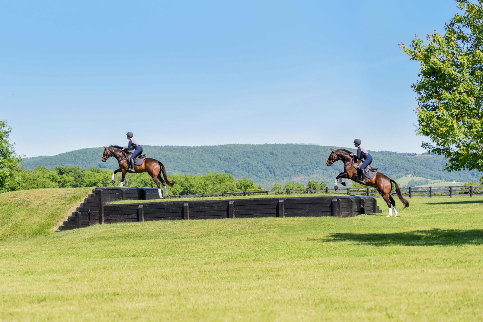 Thursday News & Notes from Taylor Harris Insurance Services (THIS ...