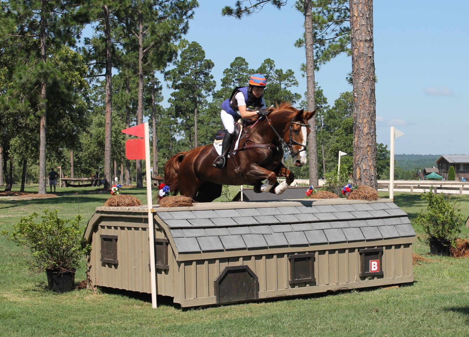 Who Jumped It Best? Stable View H.T. Intermediate Edition | Eventing ...