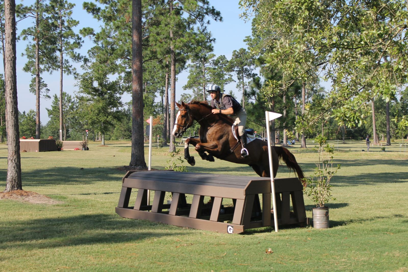 Who Jumped It Best? Stable View H.T. Training Edition | Eventing Nation ...
