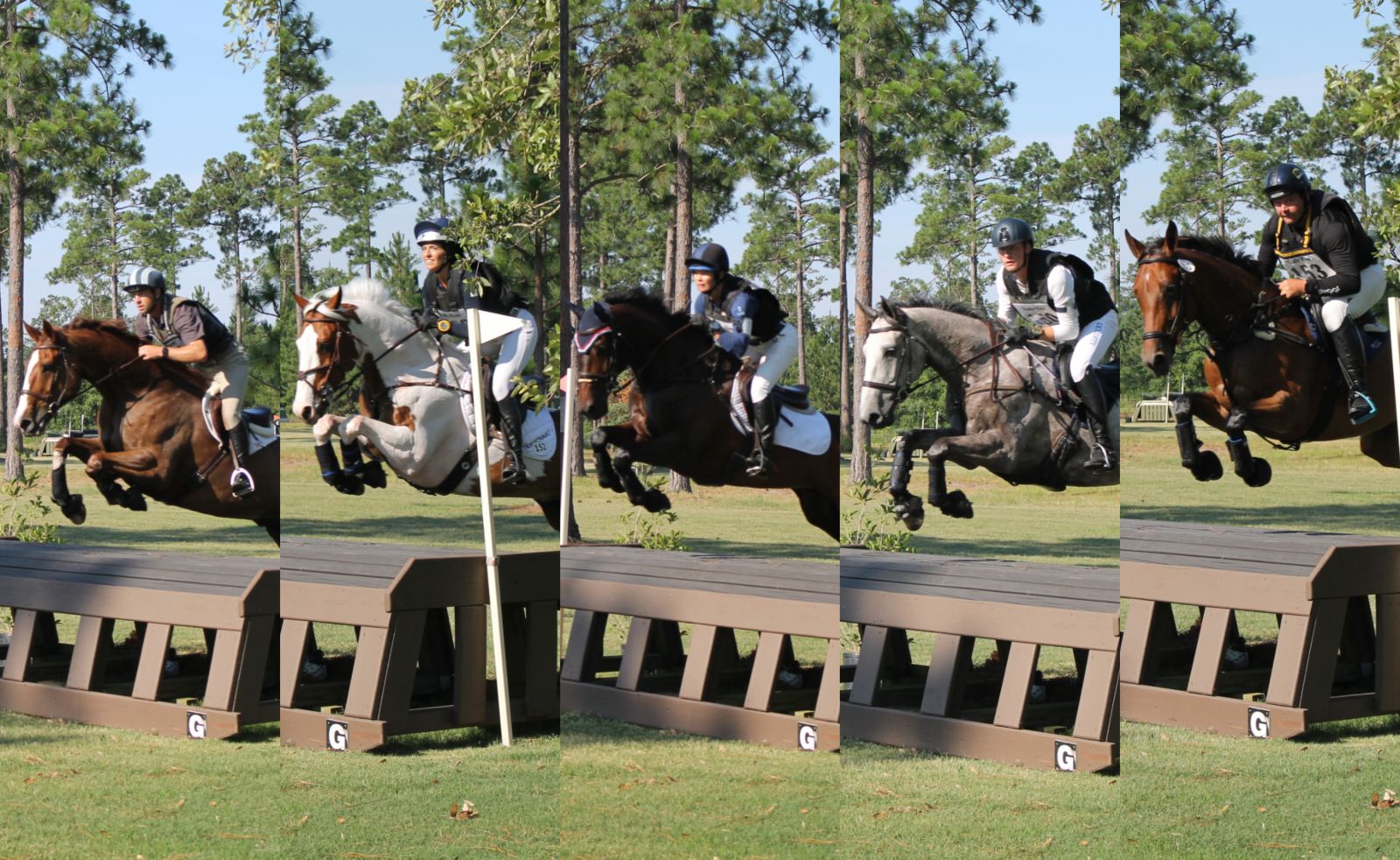Who Jumped It Best? Stable View H.T. Training Edition | Eventing Nation ...