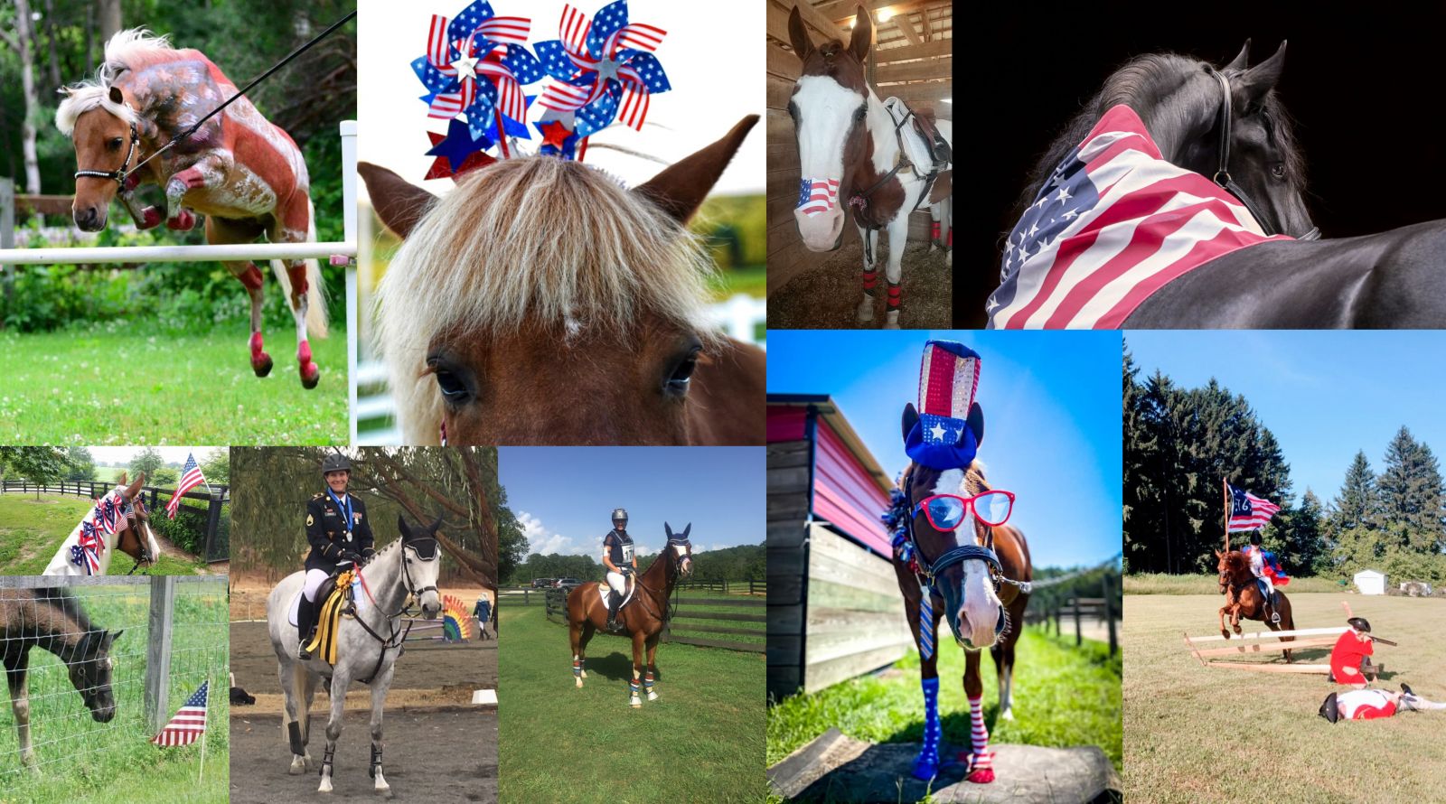 FLAIR Fourth of July Photo Contest: Vote For Your Favorite! | Eventing ...
