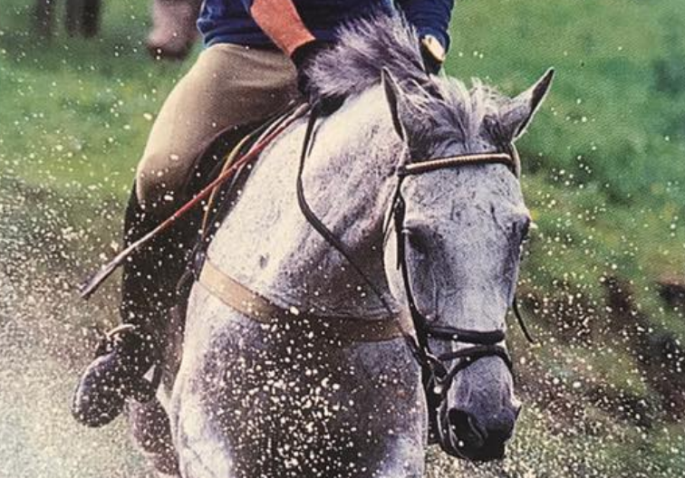 Take 5 With Phillip, Presented by Equilume: The Equine Namesakes of ...