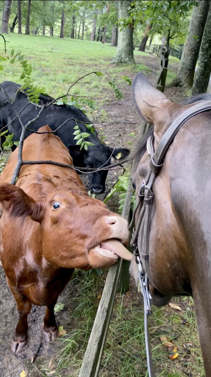 Thursday News & Notes from Taylor Harris Insurance Services (THIS ...