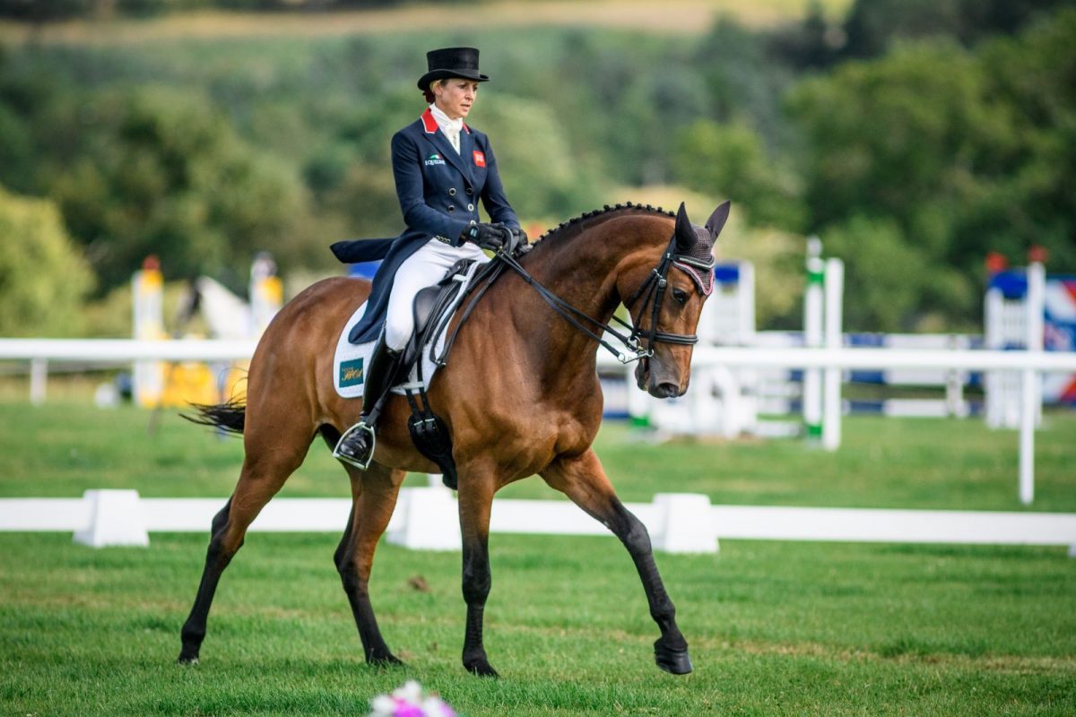 Dressage by the Numbers: Who to Watch on Day One of Pau | Eventing ...