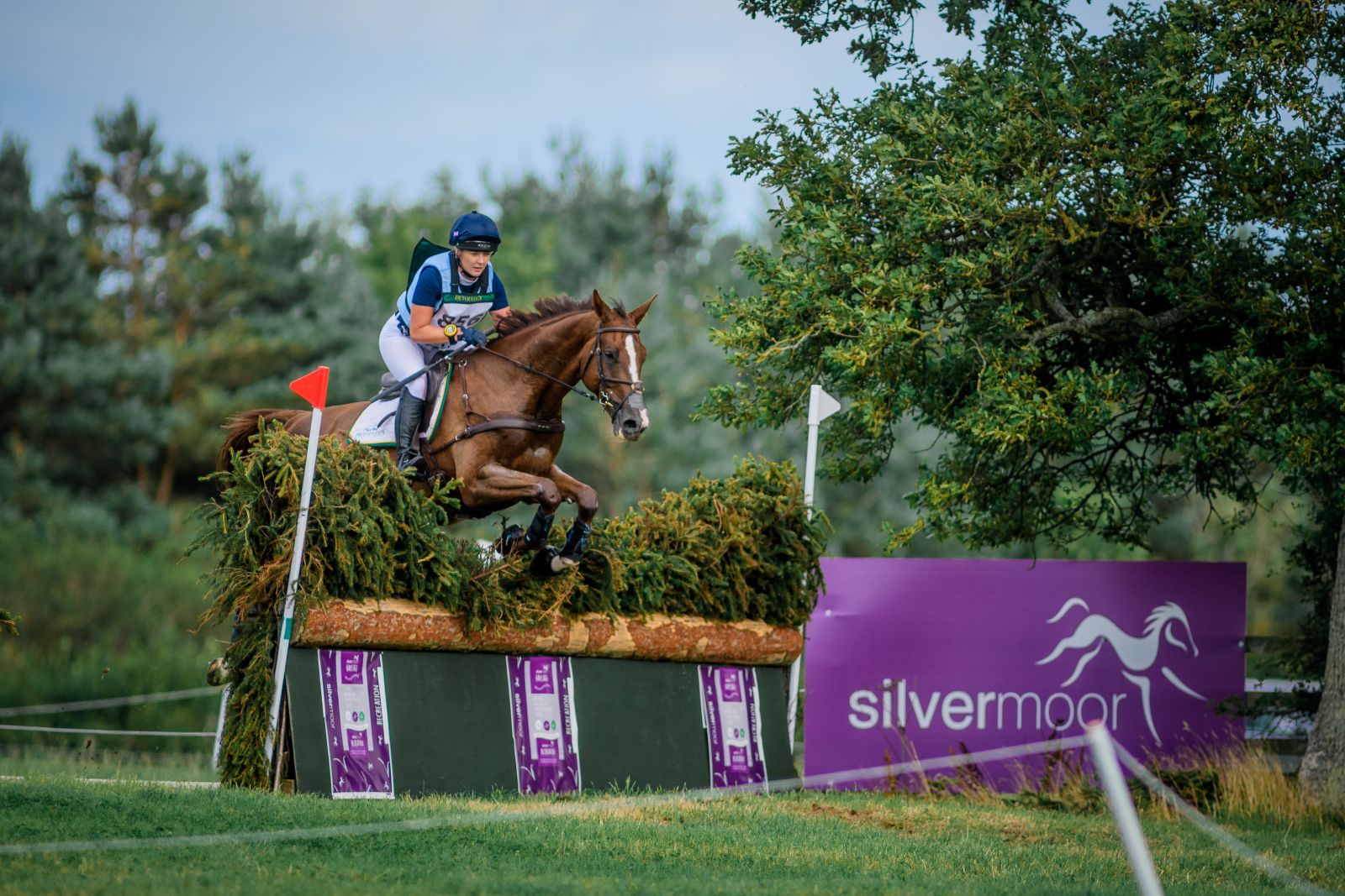 British Equestrian Announces New Additions to Podium Potential Pathway ...