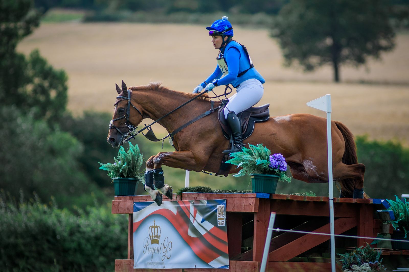 Who Jumped it Best: Burgham’s Biggest Table | Eventing Nation - Three ...