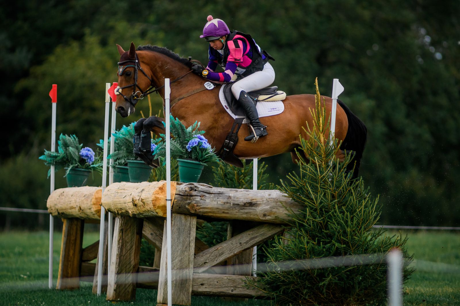 Who Jumped it Best? GAINing Ground at Burgham CCI4*-S | Eventing Nation ...