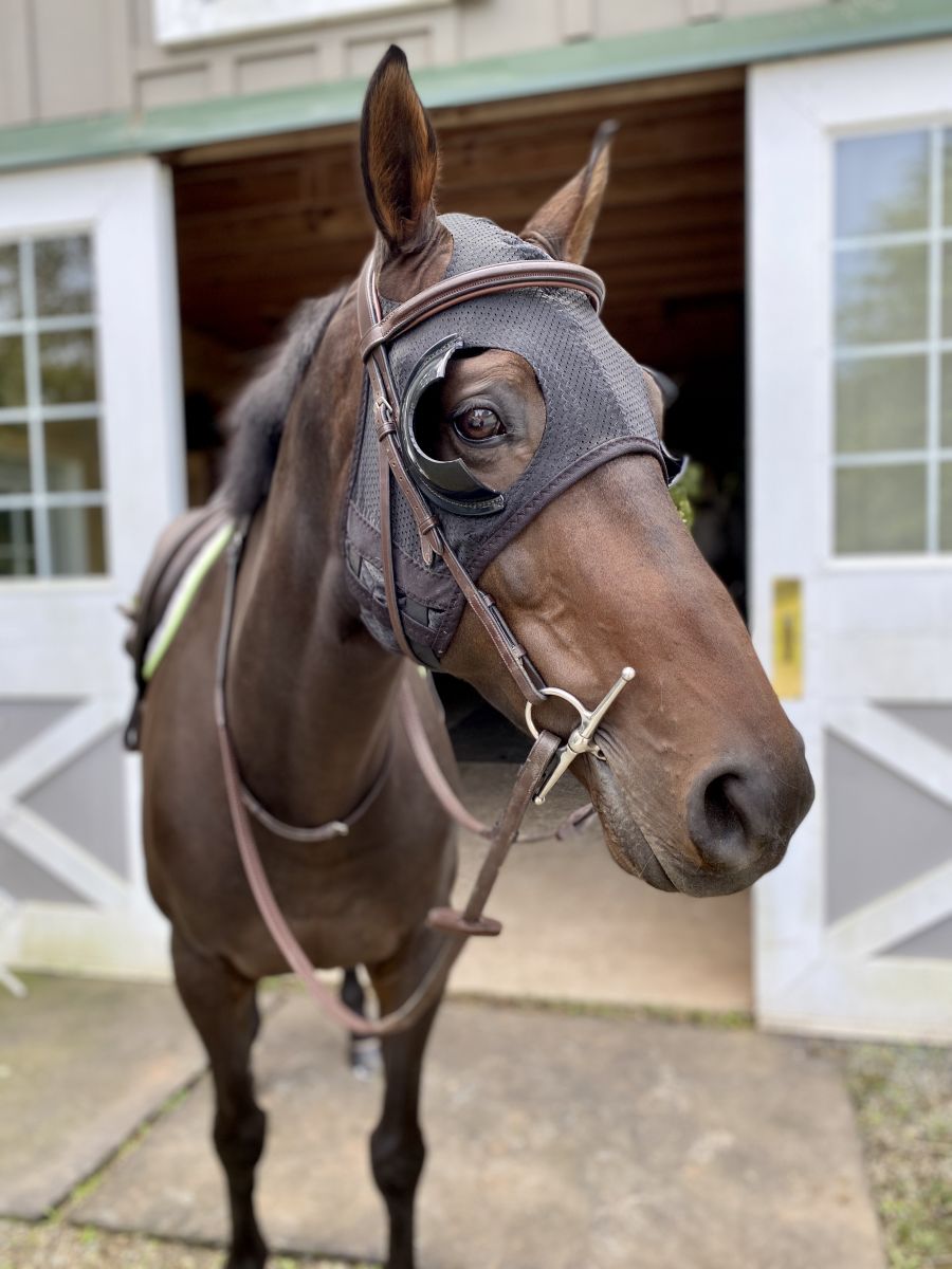 Thursday News & Notes from Taylor Harris Insurance Services (THIS ...