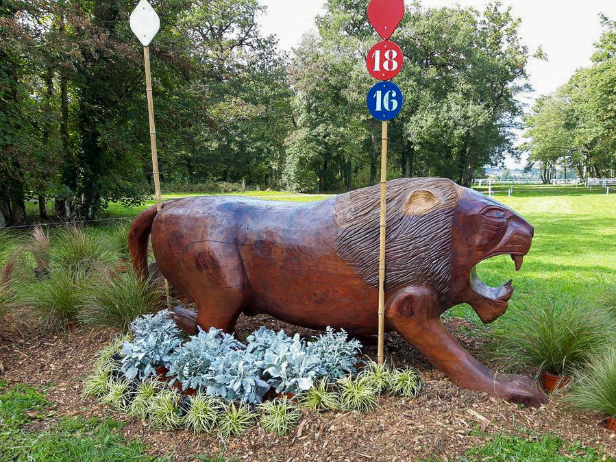 How to Build a Lion Heart: The Le Lion d’Angers Course Preview ...