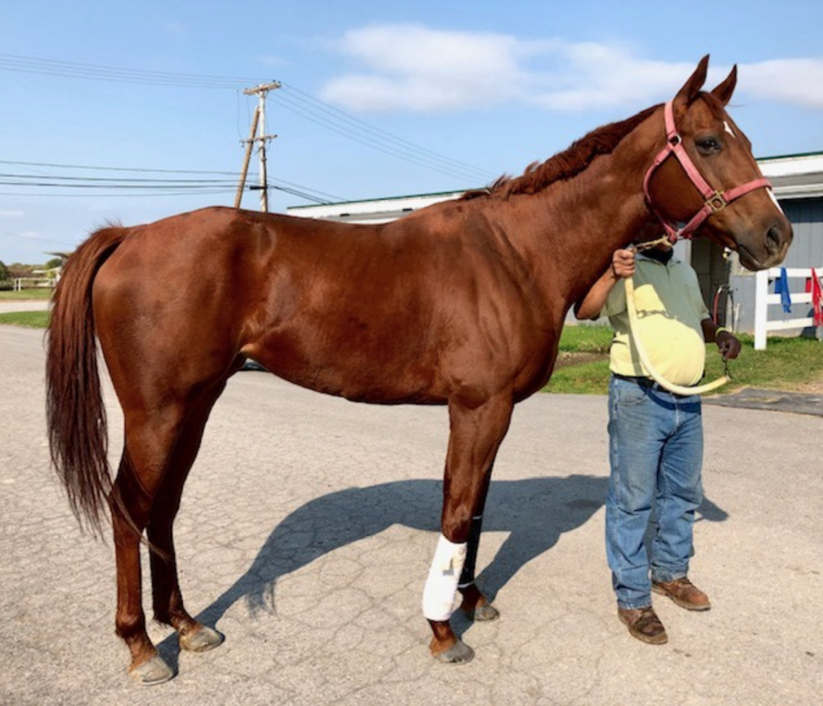 Weekly OTTB Wishlist: Winterizing | Eventing Nation - Three-Day ...