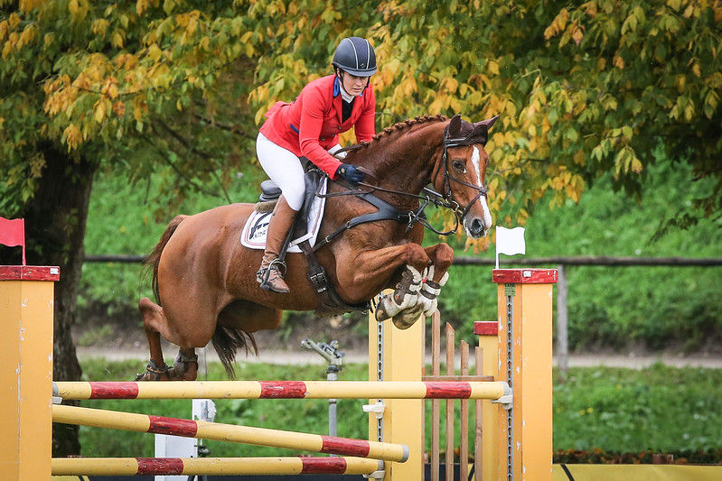 Form, Function, and Fun Facts: Your Guide to the Tokyo Eventing ...