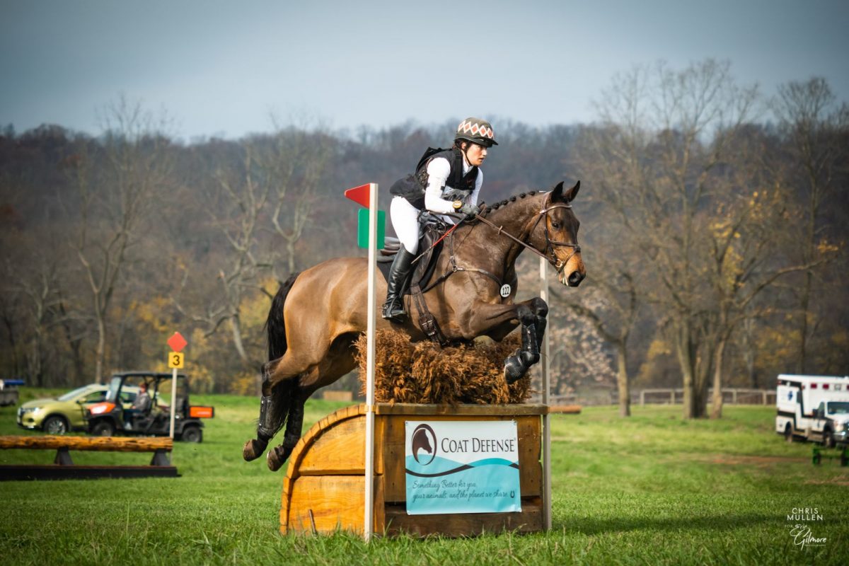 Morven Park Highlights from Erin Gilmore Photography | Eventing Nation ...