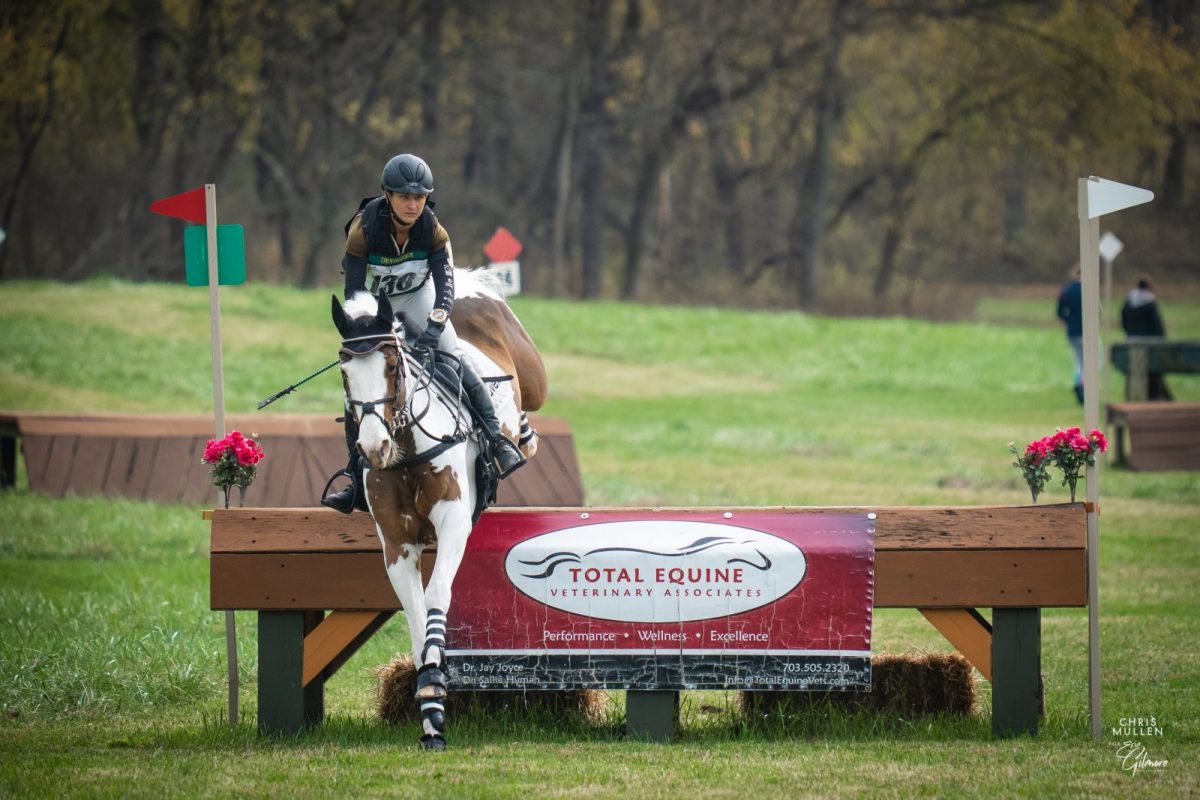 Morven Park Highlights from Erin Gilmore Photography | Eventing Nation ...
