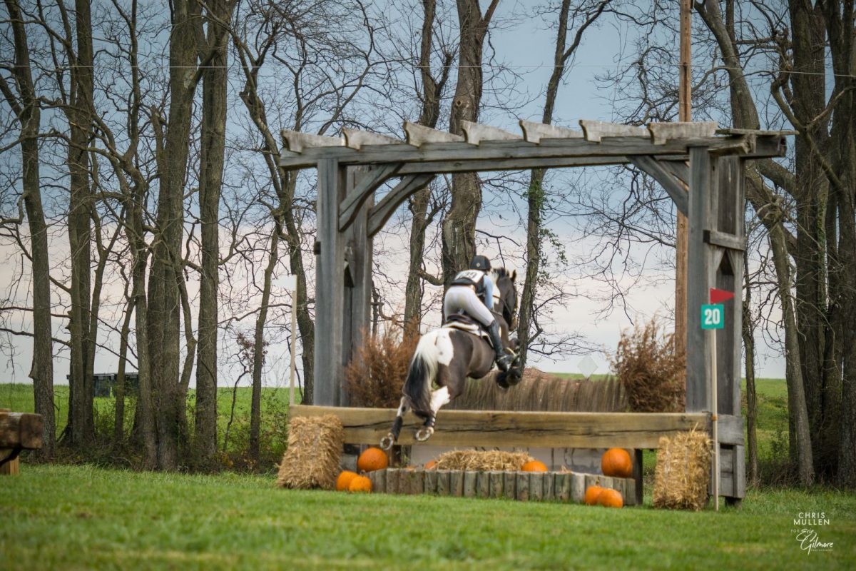 Morven Park Highlights from Erin Gilmore Photography | Eventing Nation ...