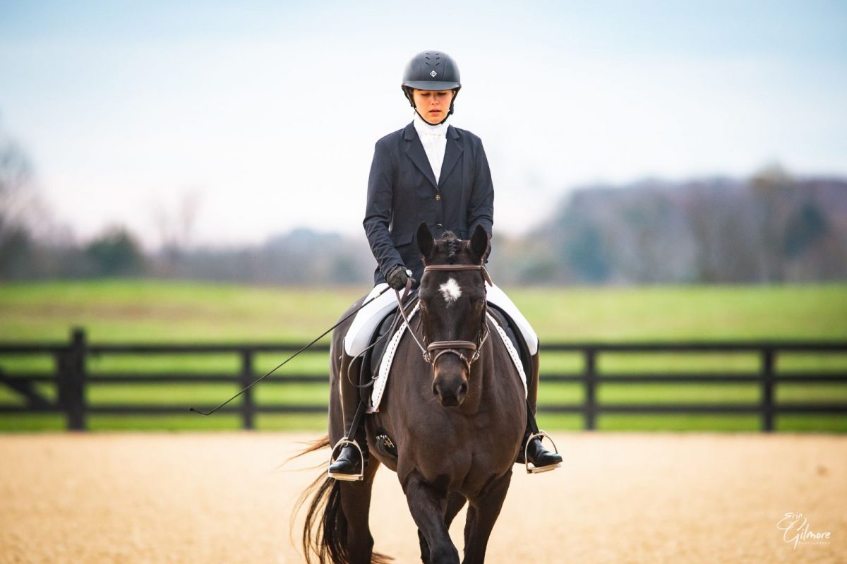 Morven Park Highlights from Erin Gilmore Photography | Eventing Nation ...