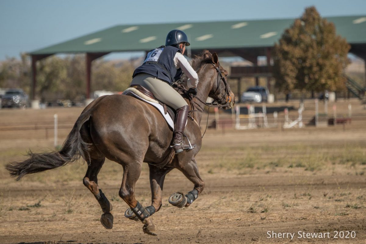 2020-11-14-16-Stephanie-Goodman-Drs-Resolute-Inter-XC-Twin-Rivers-4499 ...