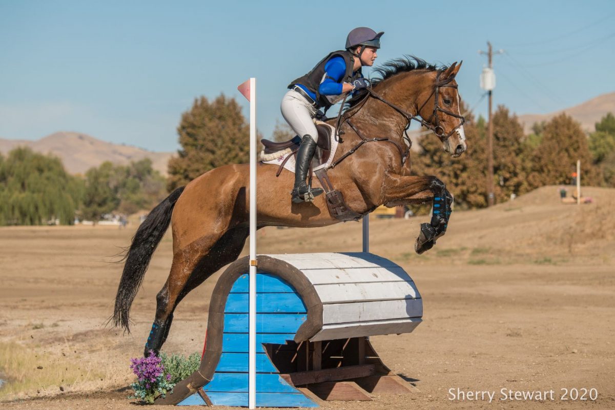 Area VI: Twin Rivers Photo Gallery + a Bright Future for Fresno County ...